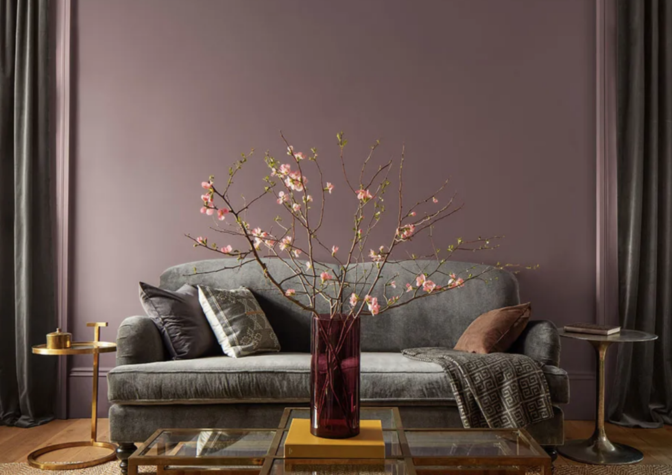Cinnamon Slate: Benjamin Moore’s 2025 Color | Matthew Freeze